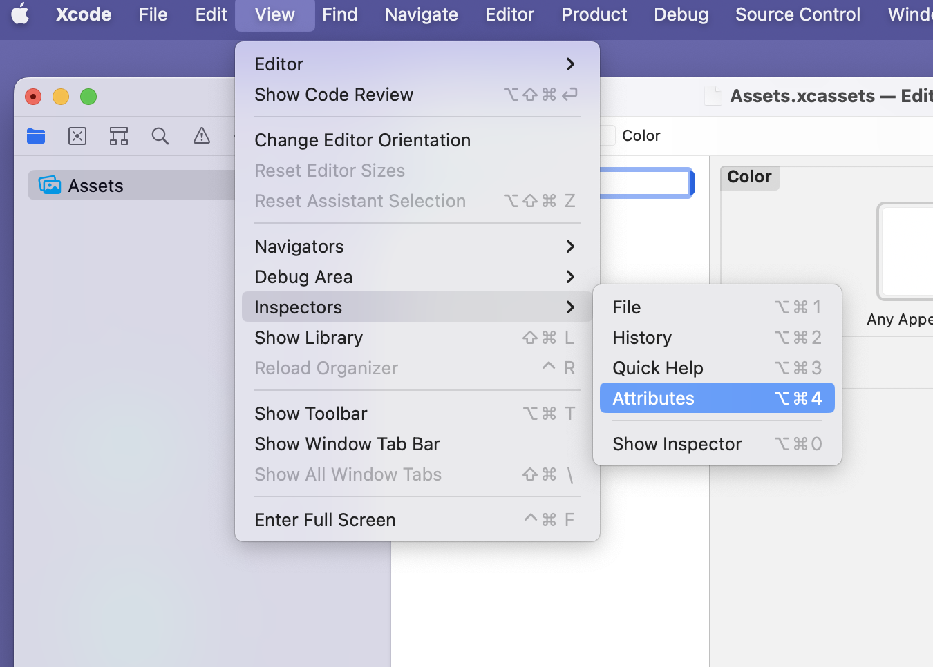 FutureBasic - Asset Catalog - Color